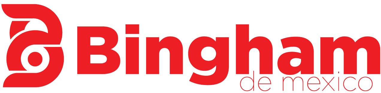 Bingham de México